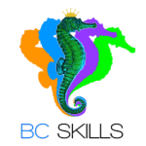 Carriere - BC Skills Group